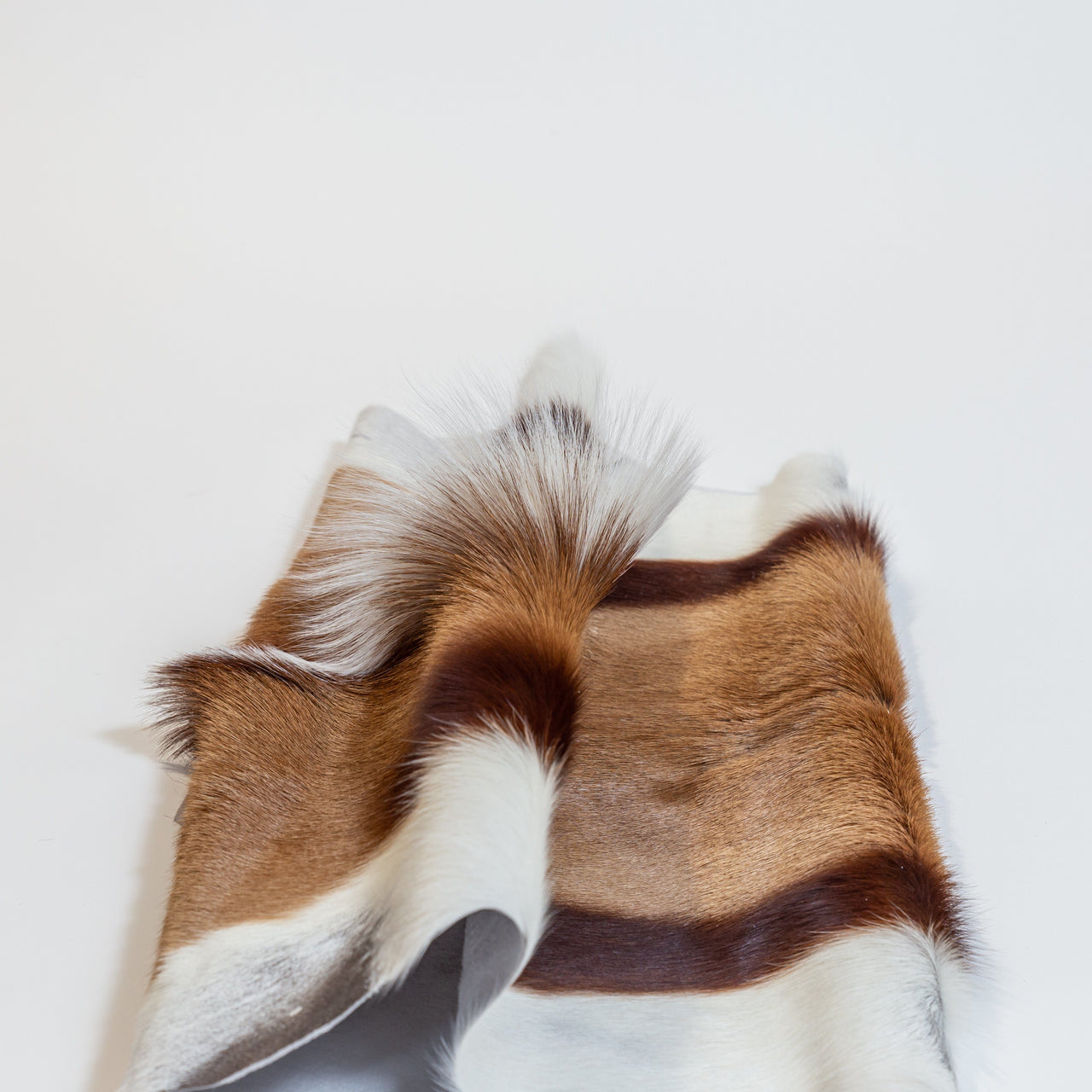 Cowhide Rugs – FURMOO